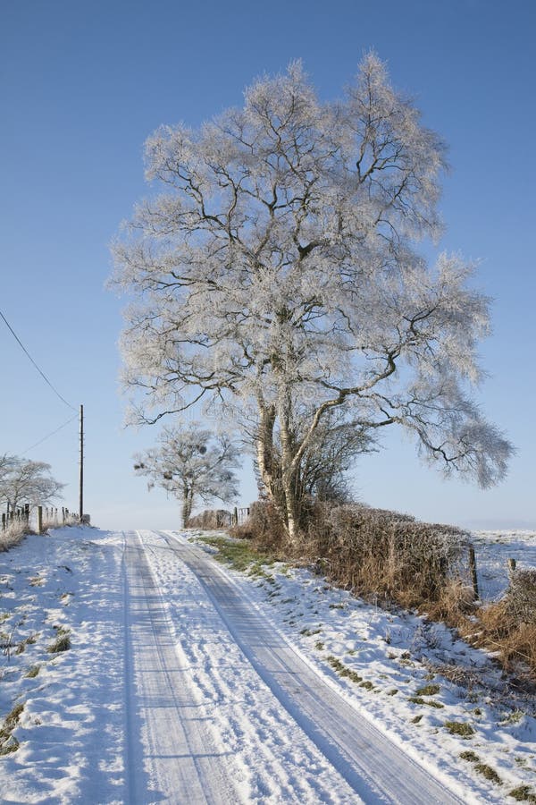 Scottish snow scene stock photo. Image of snow, road - 28034708