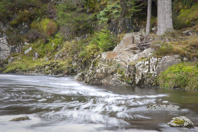 Scottish Stream in Highlands Stock Image - Image of water, stream: 31086111