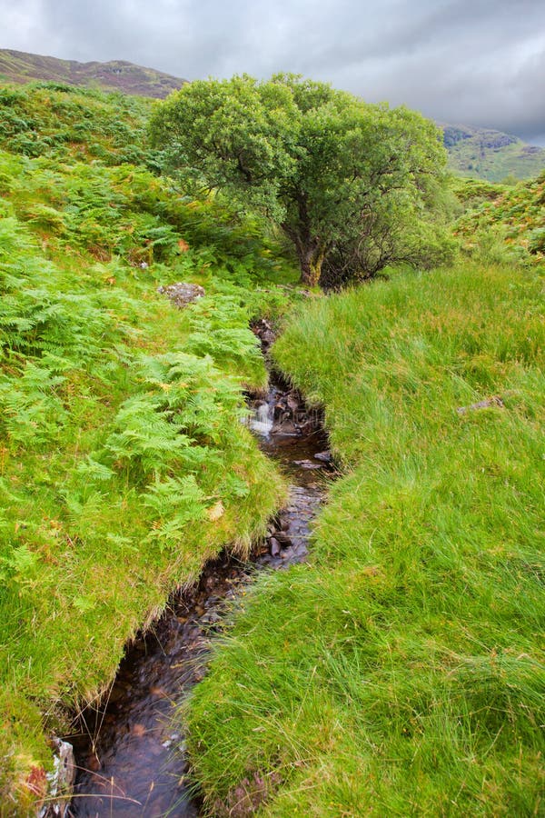 Scottish summer landscape stock photo. Image of sunlight - 26444716