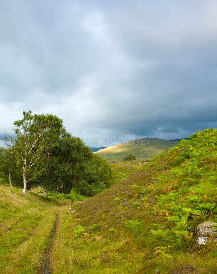 Scottish summer landscape stock photo. Image of bracken - 32399992