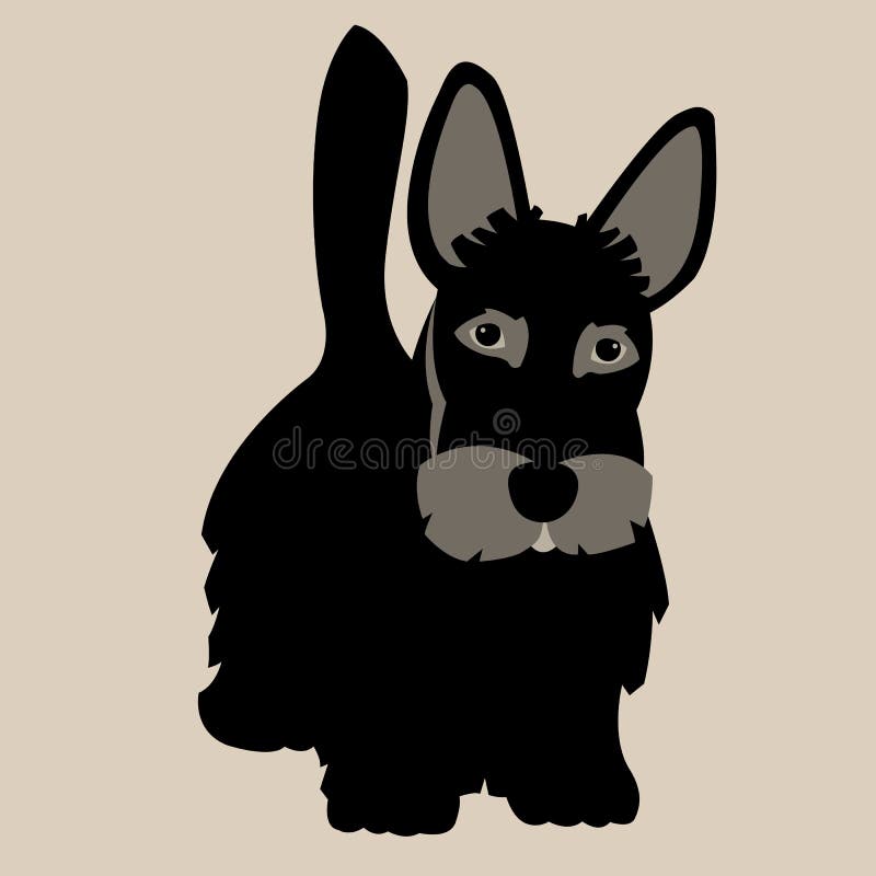Scottish Terrier Dog Adult Vector Flat Stock Vector - Illustration of ...