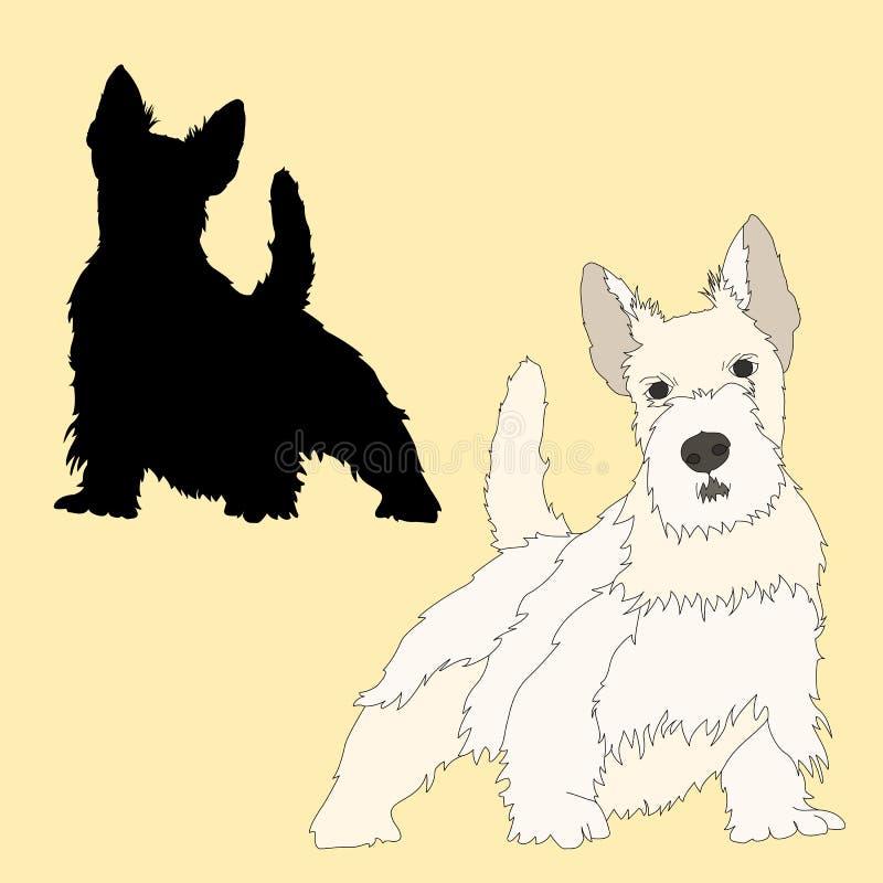 Scottish Terrier Dog Black Silhouette Realistic Stock Vector ...