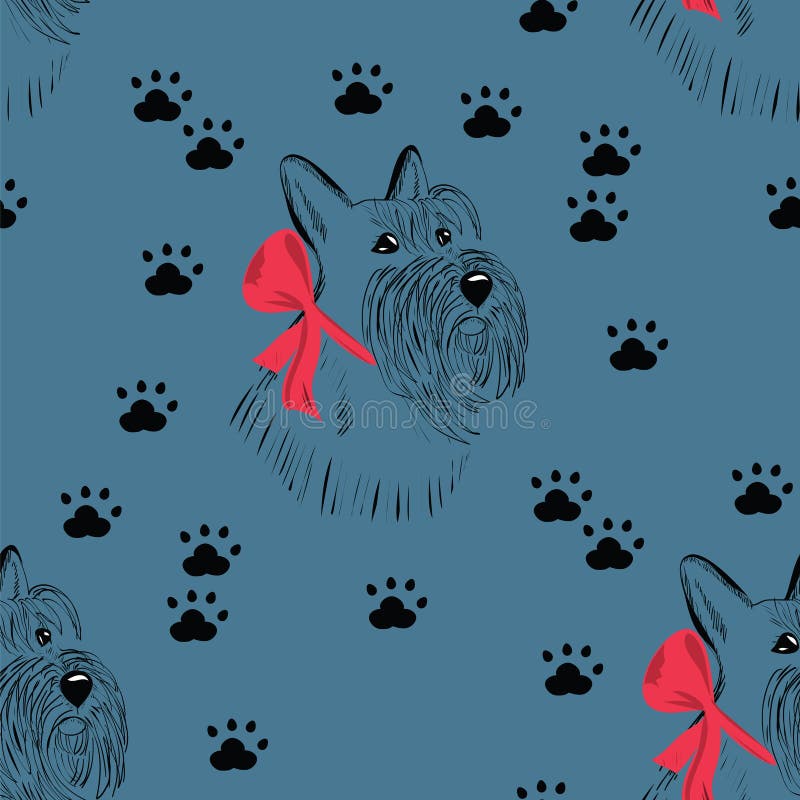 Scottish Terrier dog stock vector. Illustration of purebred - 43370407