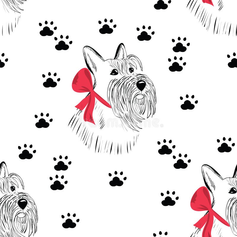 Scottish Terrier dog stock vector. Illustration of purebred - 43370407