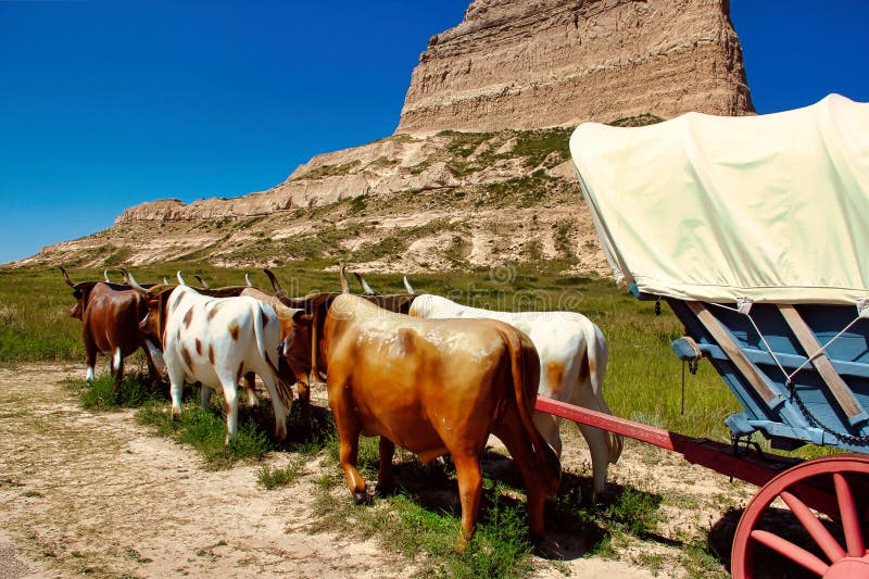Oxen Team Pulling a Wagon Over the Oregon Trail on Display Below Eagle ...