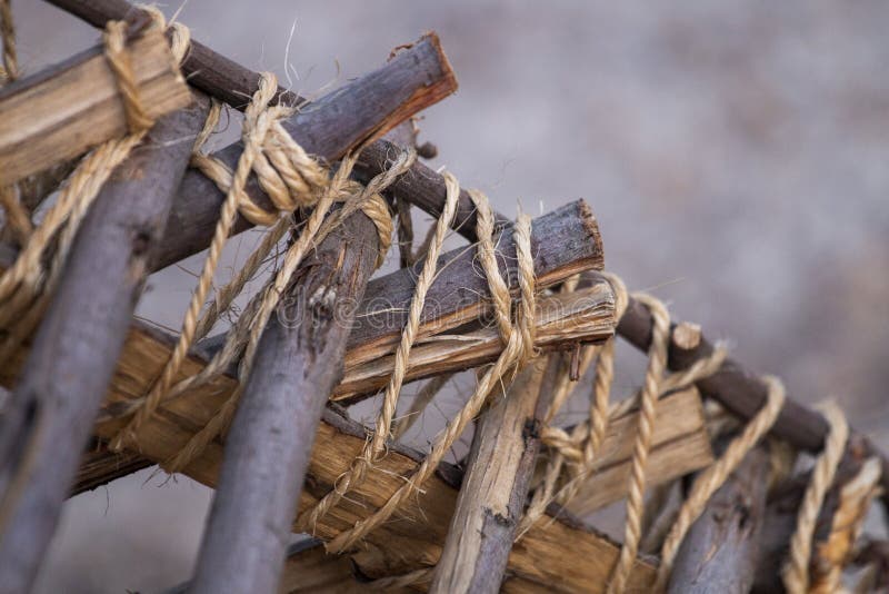 Scout rope stock photo. Image of rough, knot, cable, loop - 31362022