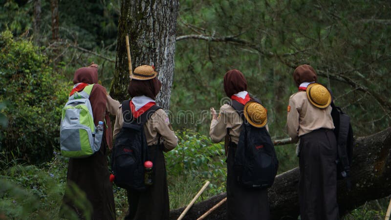 Scout Members Exploring a Dense Forest on an Adventure. Semarang ...