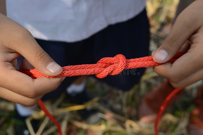 Scout is Tying the the Reef Knot & X28;Square Knot& X29; Stock Image ...