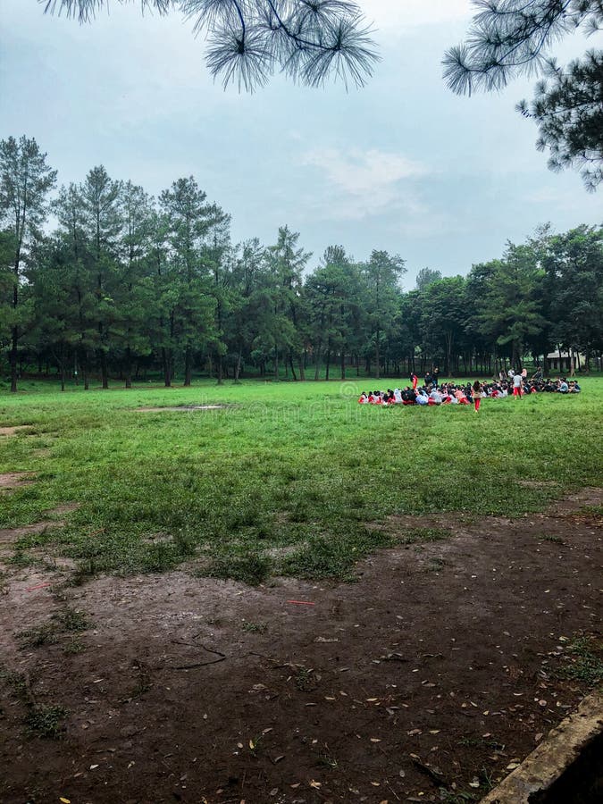 Scouting in Nature editorial image. Image of fields - 221900485