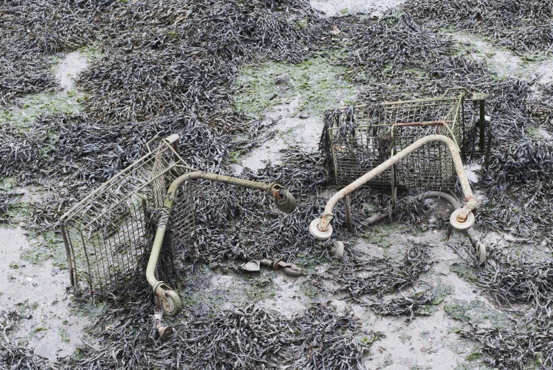 Scrap in the Mud by the Sea Stock Image - Image of environmental ...