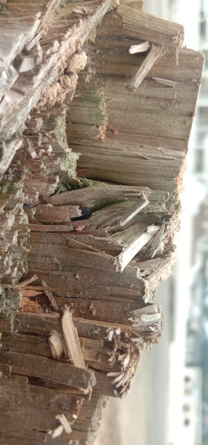 Scrap wood stock image. Image of beautiful, array, scrap - 265434735