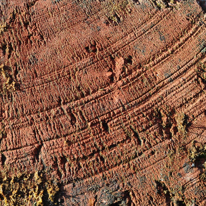 Scraped Texture stock photo. Image of flat, lines, square - 13951464