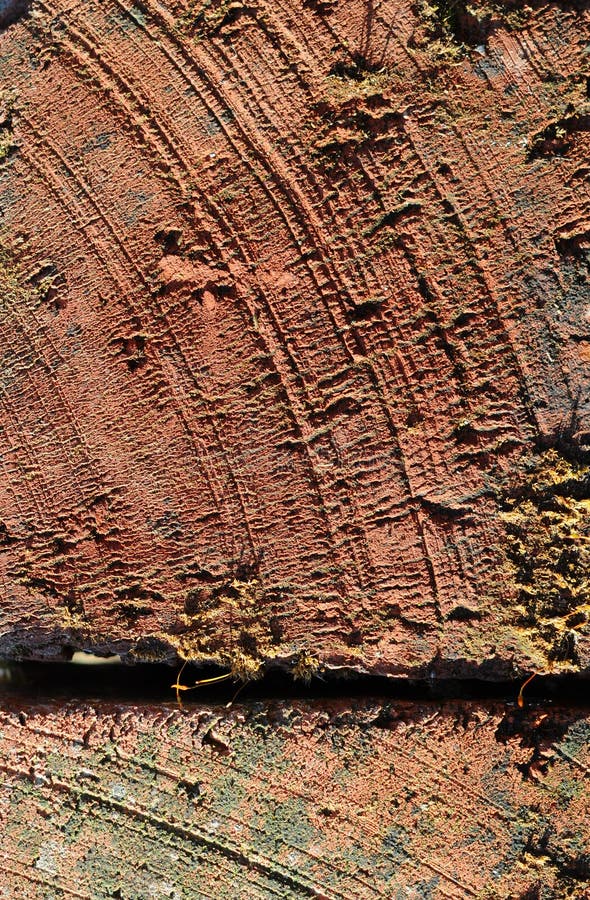 Scraped Texture stock photo. Image of brick, chipped - 15778376