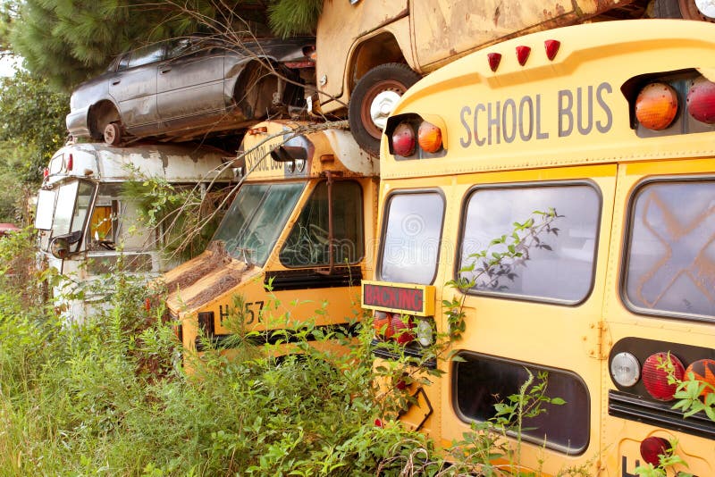 Scrapped School Buses Sit in Auto Junkyard Stock Photo - Image of brush ...