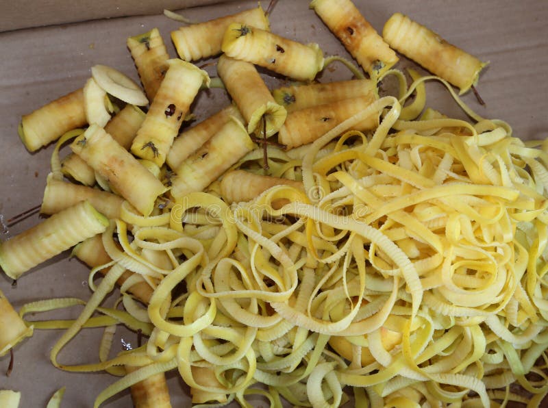 Scraps of Apple Peels and the Cores for Composting Stock Photo - Image ...