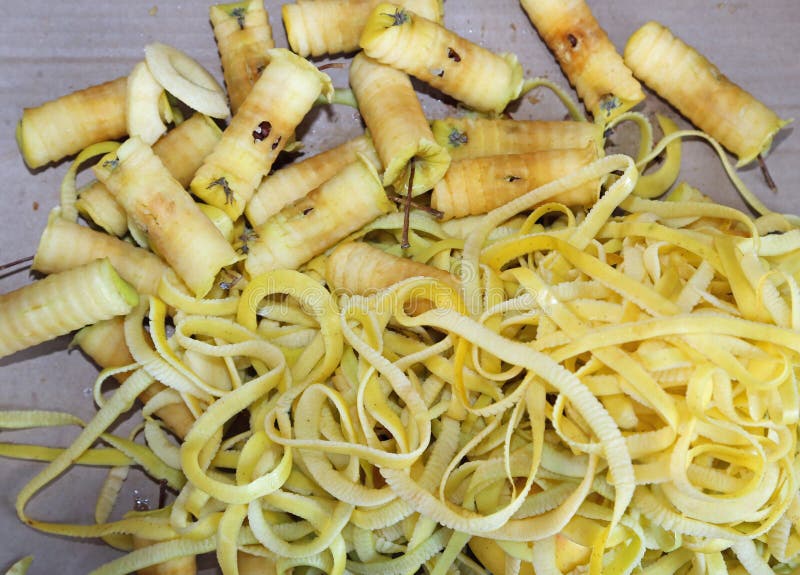 Scraps of Apple Peels and the Cores for Composting Stock Image - Image ...