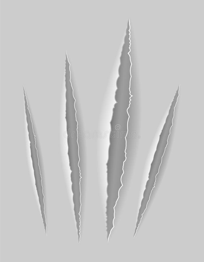 Scratch Claw Cuts Paper with Transparent Shadows for Design Vector ...