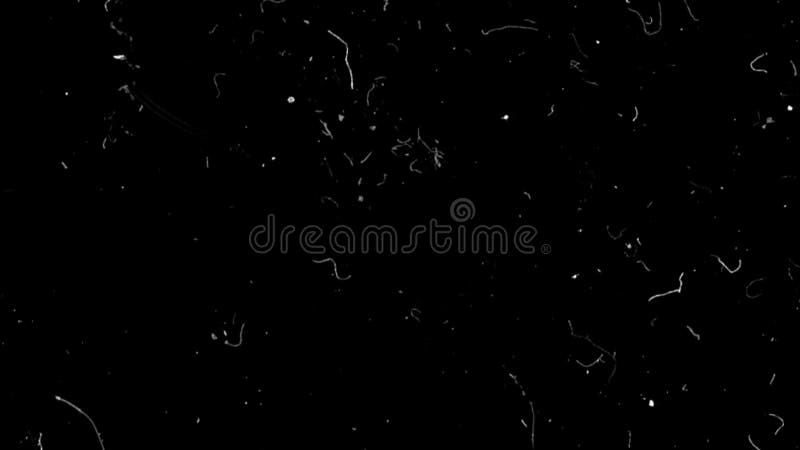 Scratch Effect. Vintage TV Screen with Marks and Damage Stock Video ...