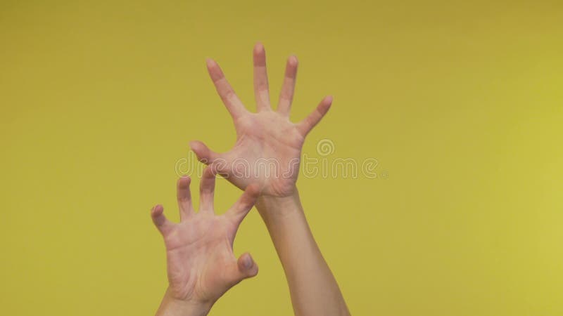 Scratch Hands. Hands Close-up. Chroma Key Background. 4K Stock Video ...