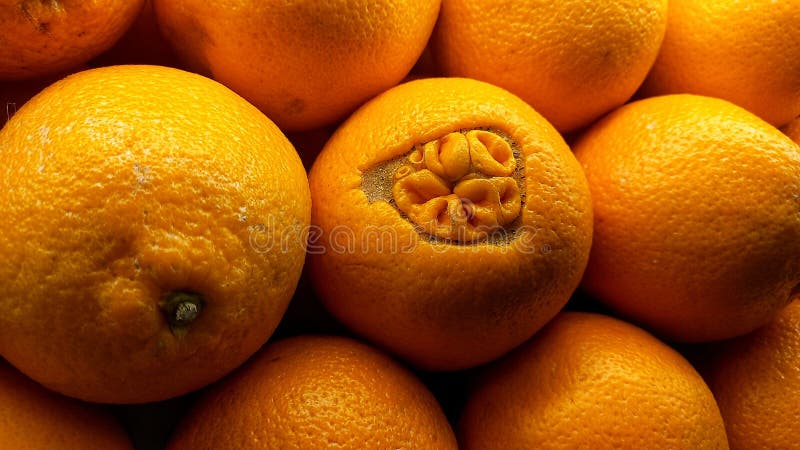 Scratch on One of the Oranges, so it Looks Unique Stock Photo - Image ...