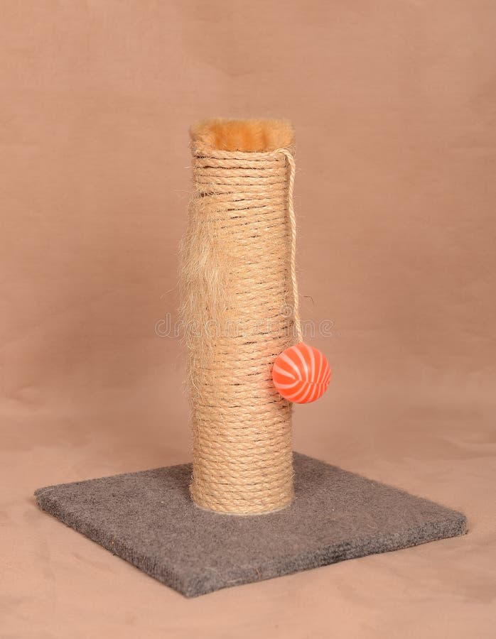 Cat scratch play post stock photo. Image of beige, background - 30134720