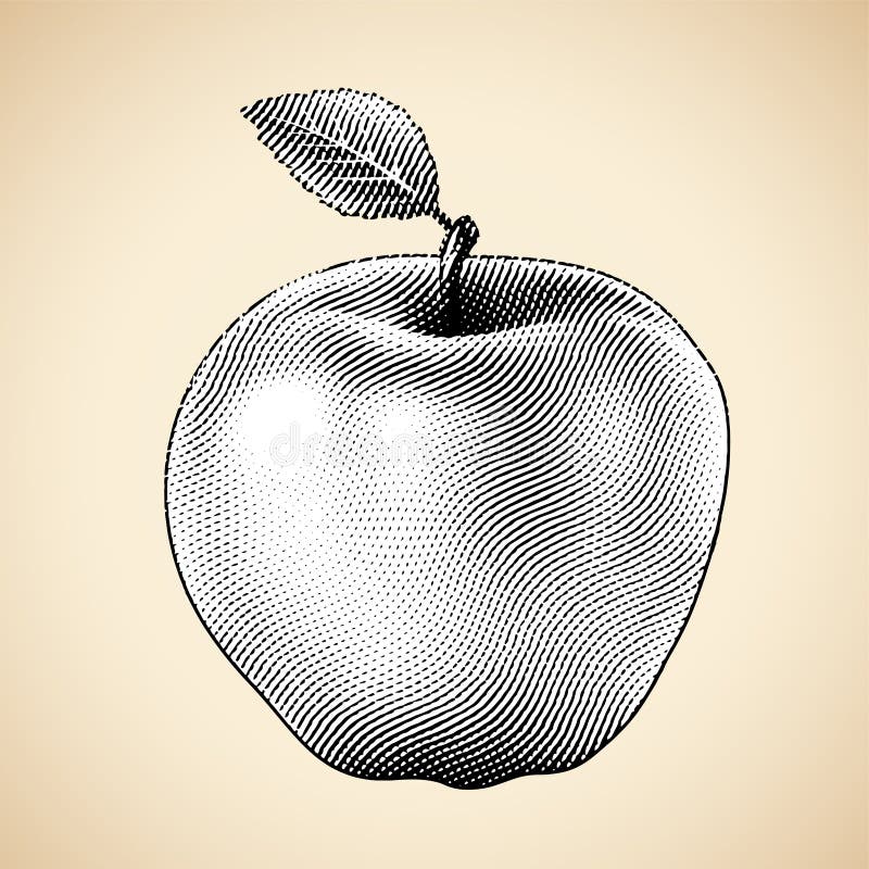 Scratchboard Engraved Apple with White Fill Stock Vector - Illustration ...