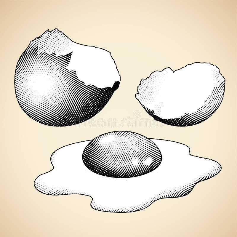 Scratchboard Engraved Broken Egg with White Fill Stock Vector ...
