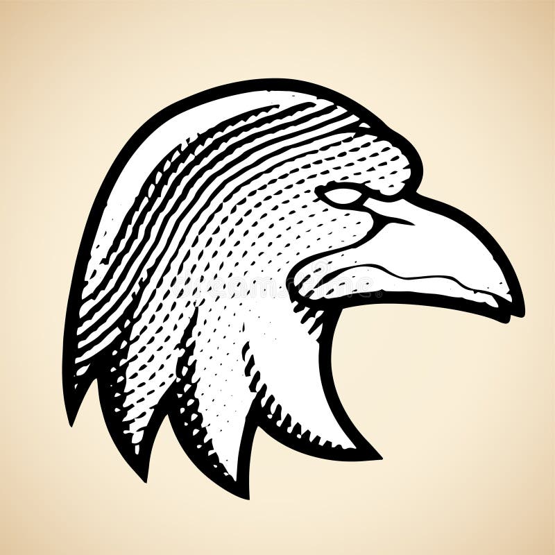 Scratchboard Engraved Eagle with White Fill Stock Vector - Illustration ...
