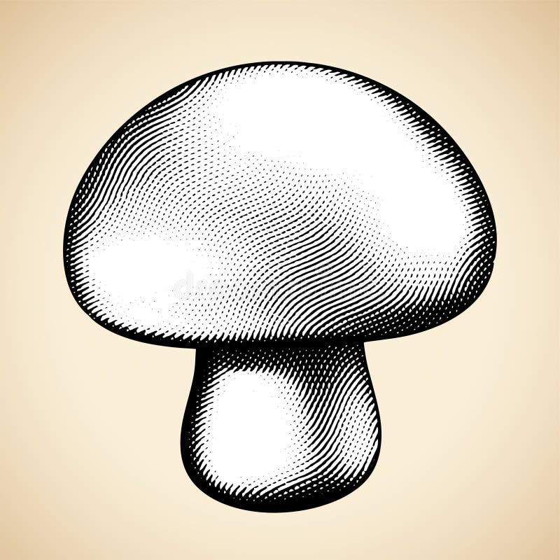 Scratchboard Engraved Mushroom with White Fill Stock Vector ...