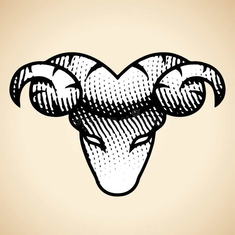 Scratchboard Engraved Ram Front View with White Fill Stock Vector ...