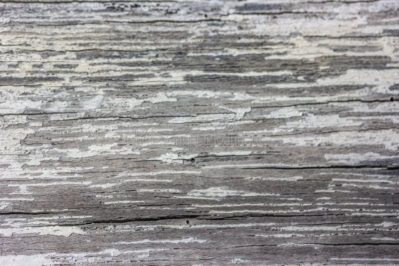 Wood Texture and Patten Background Stock Image - Image of carpentry ...