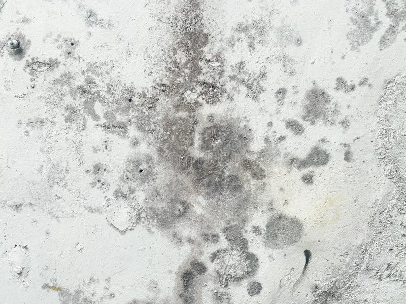 Scratched and Messy Concrete Backdrop with Space for Design Stock Image ...