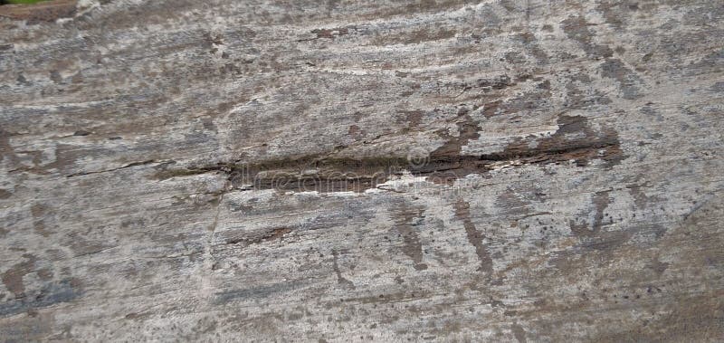Scratched Texture on an Old, Brittle Plank Stock Image - Image of ...