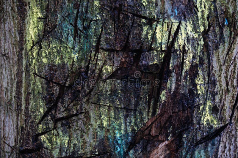 Scratched Tree Bark Neon stock photo. Image of dirty - 58347976