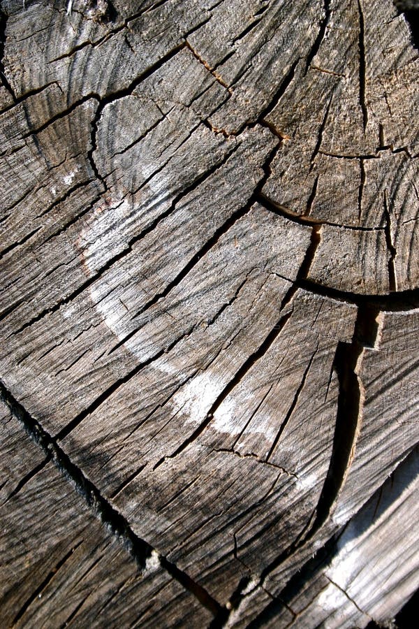 Brown scratches stock image. Image of interface, scratch - 1397771