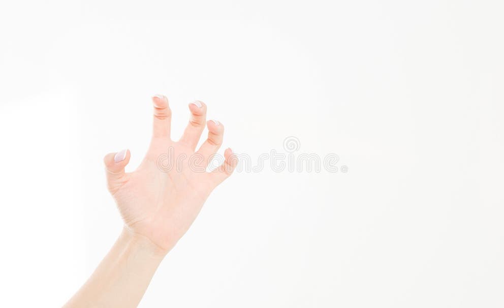 Scratching Hand Isolated on White Background. Copy Space Stock Image ...
