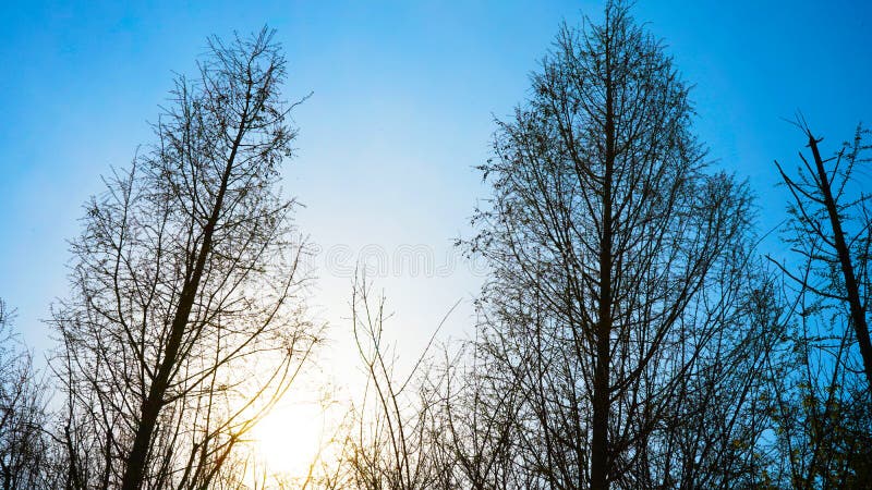 Park in the afternoon stock photo. Image of woods, bench - 27523330