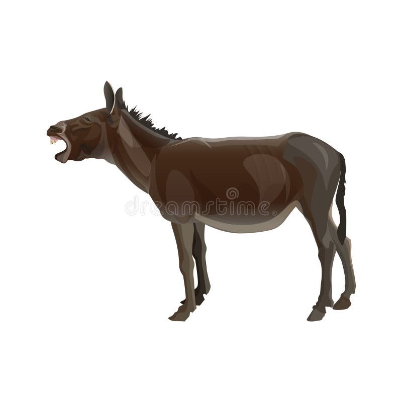 Donkey Scream Stock Illustrations – 10 Donkey Scream Stock ...