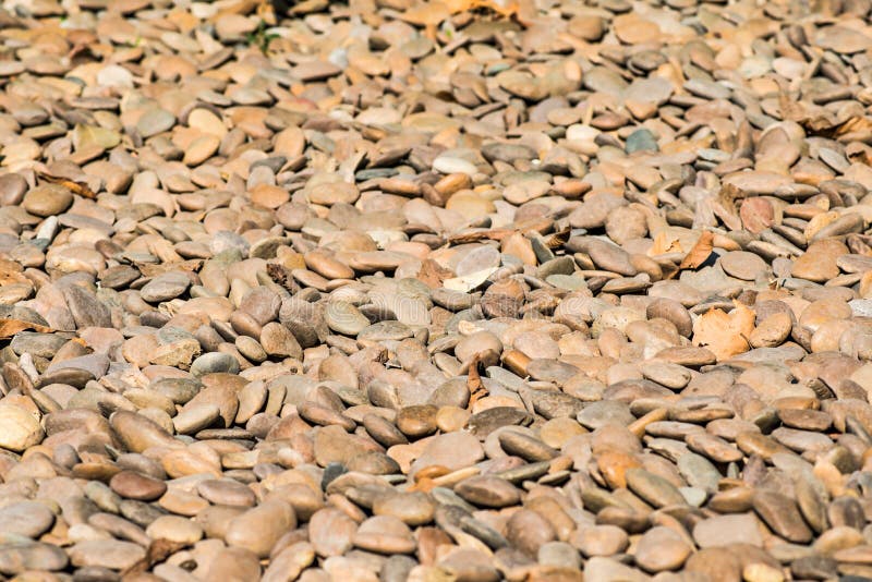 Scree and Rock Boulders Along the Cascade Canyon Trail in Grand Teton ...