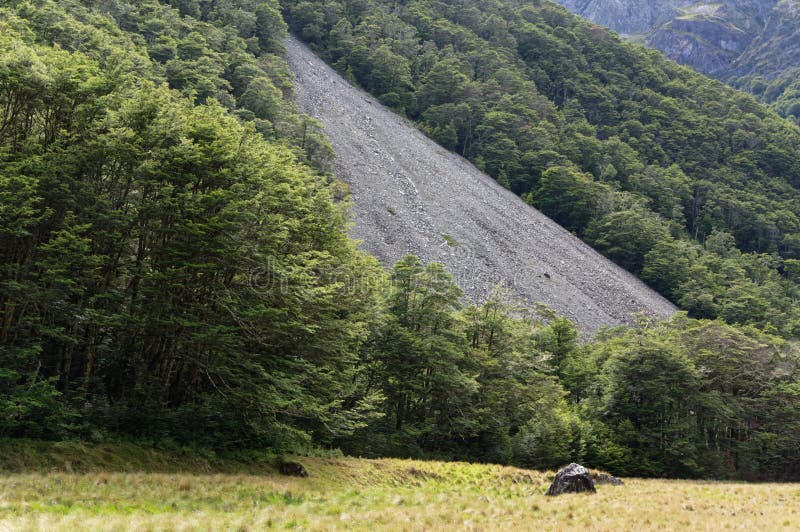 A scree slip on a hillside stock image. Image of gray - 169570567