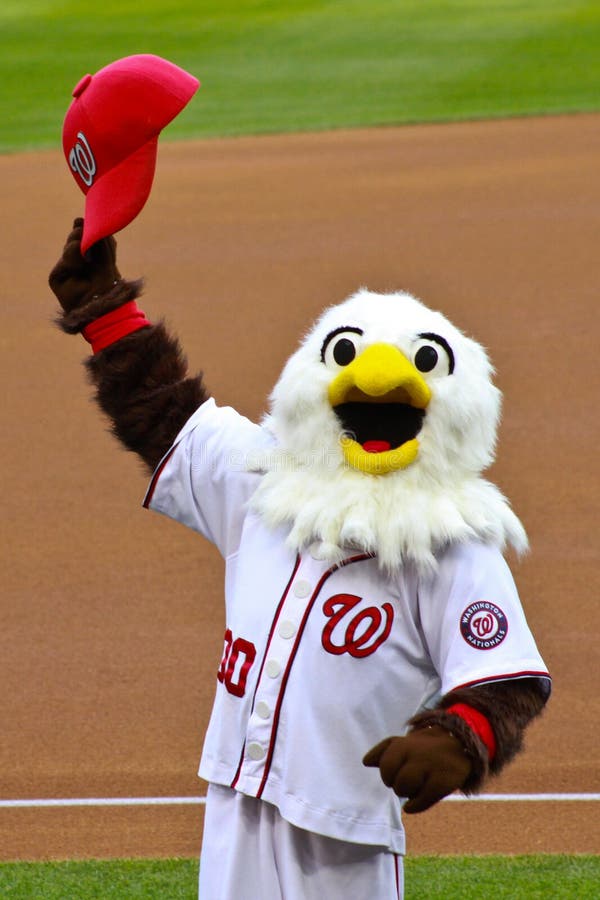 Screech Washington Nationals Mascot Editorial Photo - Image of ...