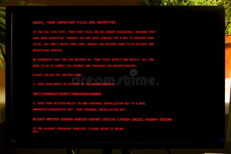 The Screen of the Computer Monitor is Infected with the Virus Petya.a ...