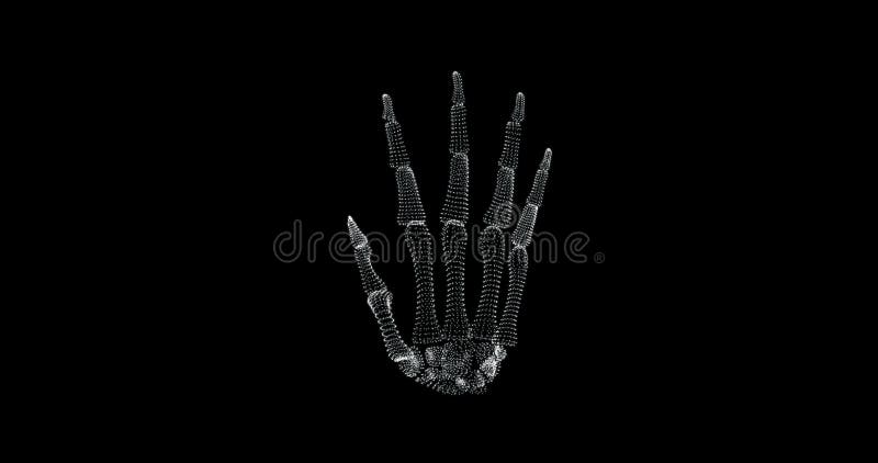 Screen 3d of Bone Structure in Human Hand in the Human Body - Loop ...