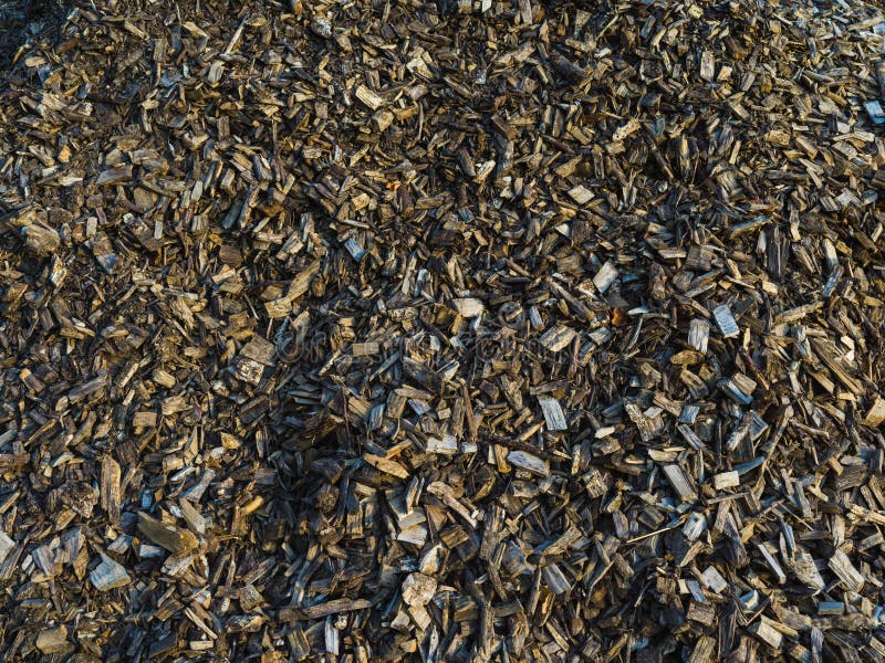 Screen-filling Close-up of Wood Shavings in Daylight. Stock Photo ...