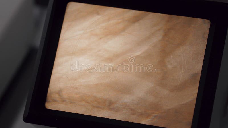 The Screen of the Microscope. Meat Under a Microscope. Cell Structure ...