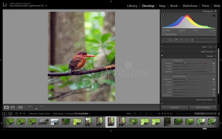 5,300 Lightroom Hp Stock Photos - Free & Royalty-Free Stock Photos from ...