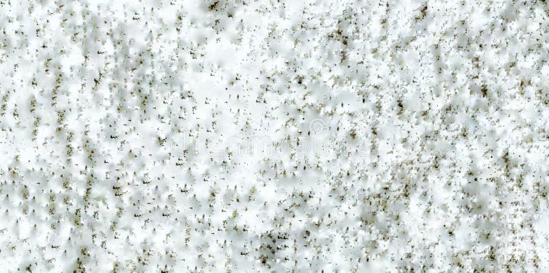 226 L Theme Background Stock Photos - Free & Royalty-Free Stock Photos ...