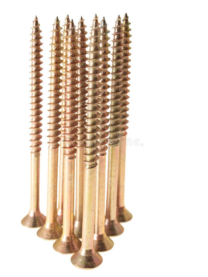 Screw. stock photo. Image of fasteners, macro, chrome - 26460724