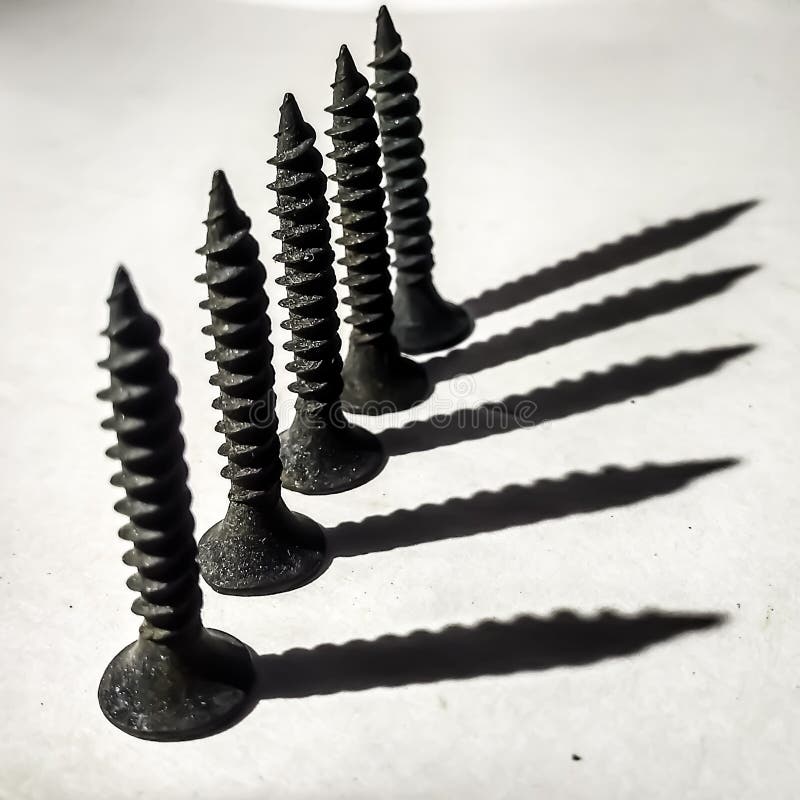 Black and Its Shadow on a White Background Stock Image - Image of ...