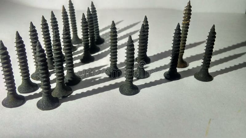 Black and Its Shadow on a White Background Stock Photo - Image of ...